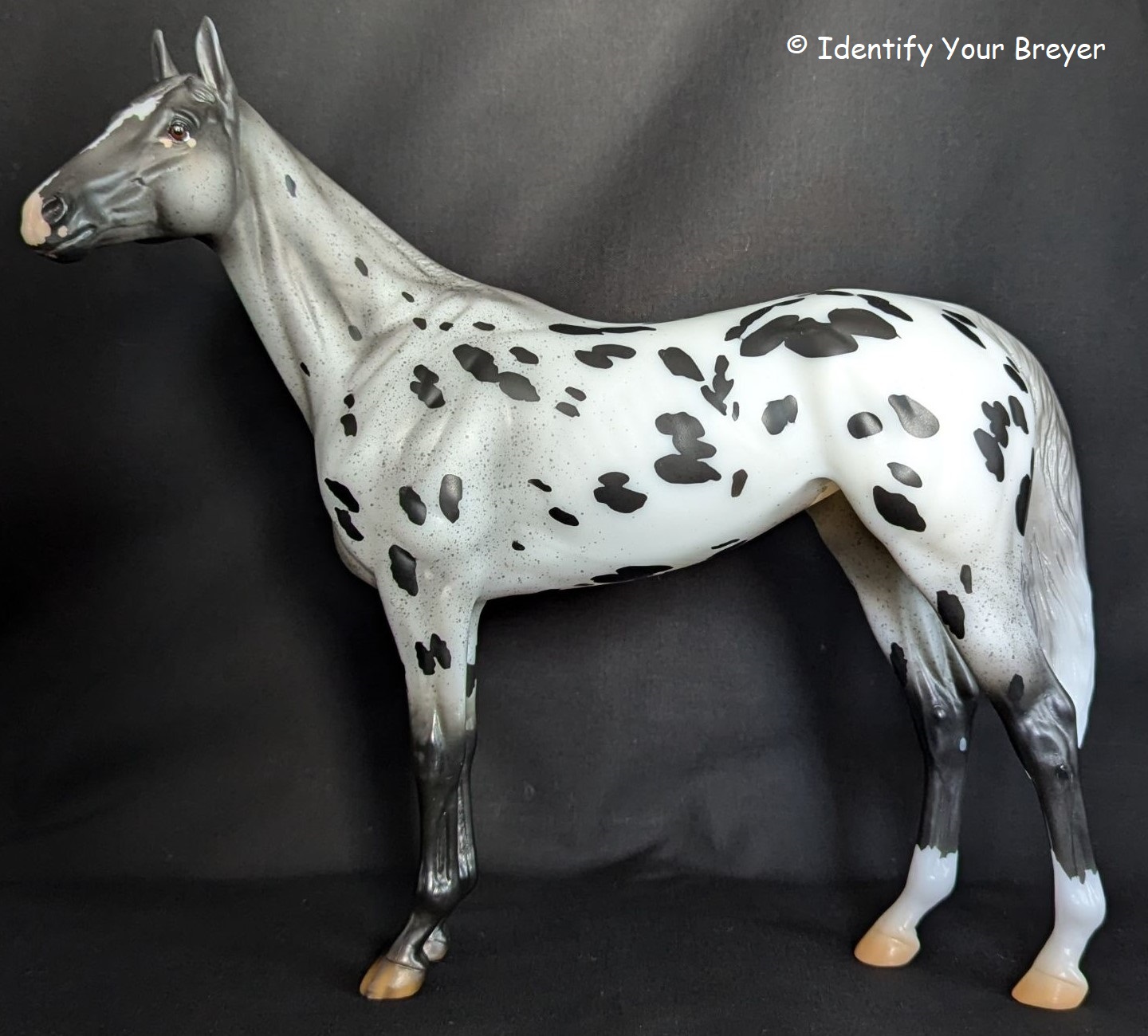 Identify Your Breyer - Standing Thoroughbred (Emerson)