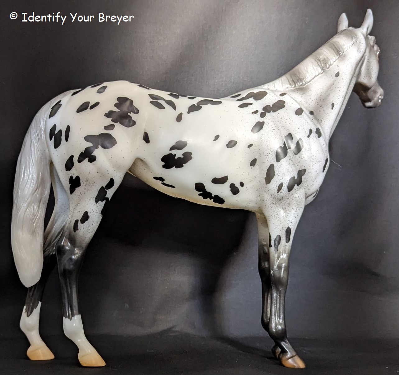 Identify Your Breyer - Standing Thoroughbred (Emerson)