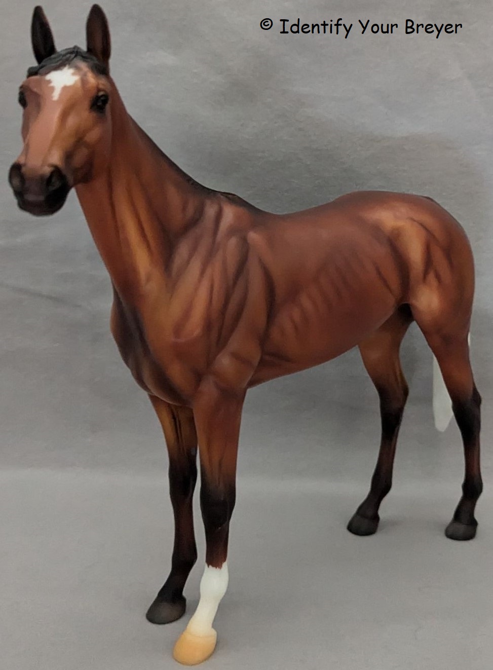 Identify Your Breyer - Standing Thoroughbred (Emerson)