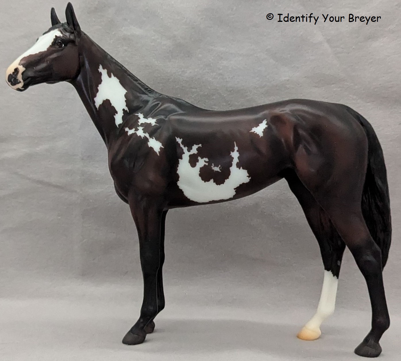 Identify Your Breyer - Standing Thoroughbred (Emerson)