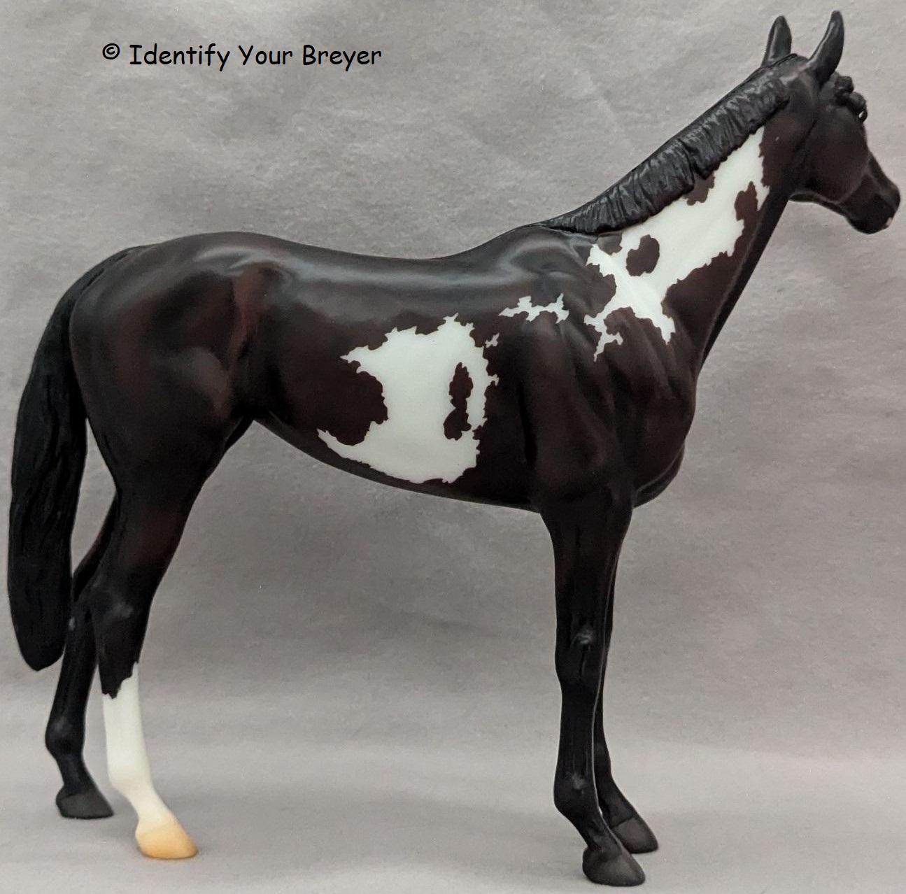 Identify Your Breyer - Standing Thoroughbred (Emerson)