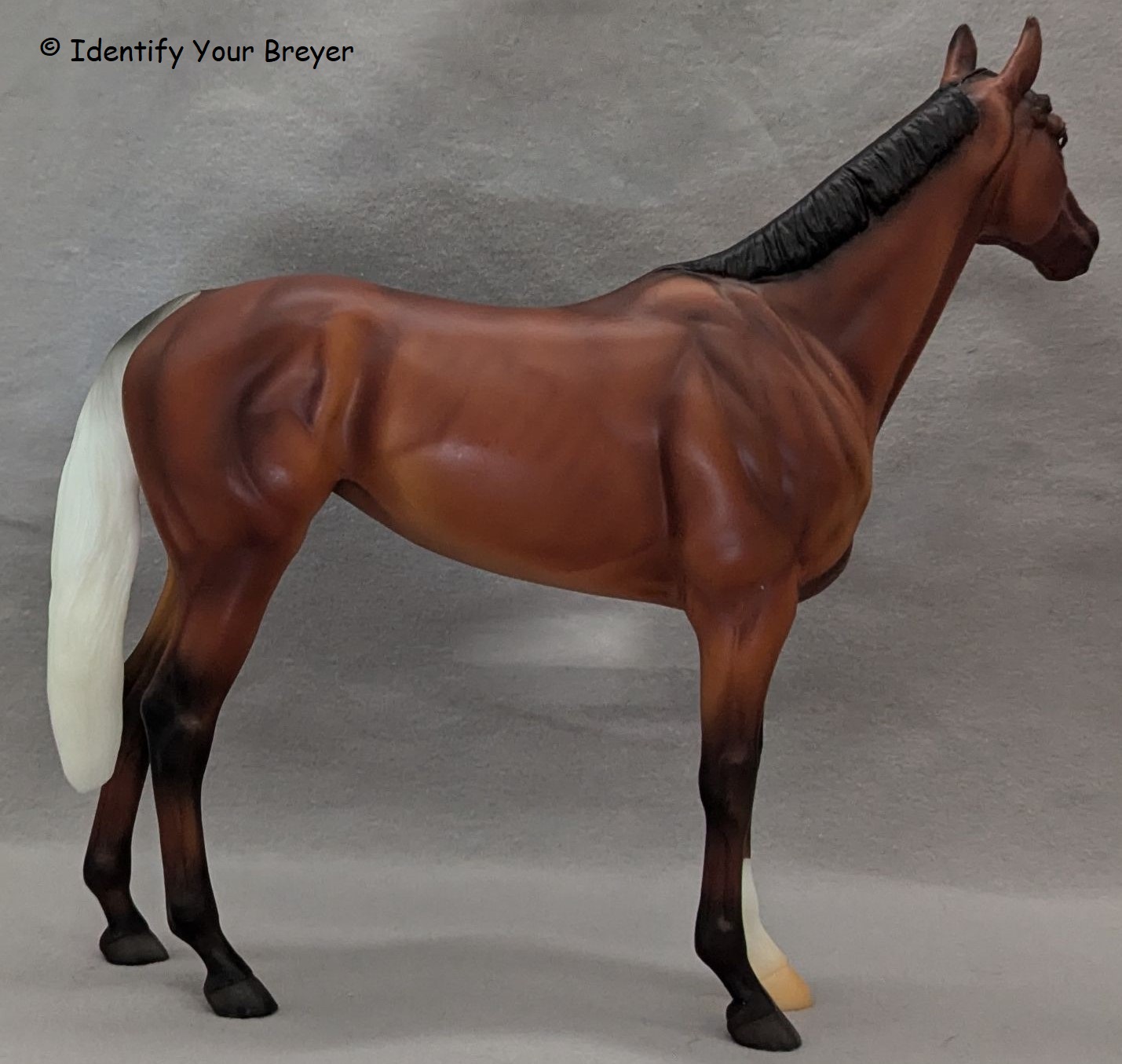 Identify Your Breyer - Standing Thoroughbred (Emerson)