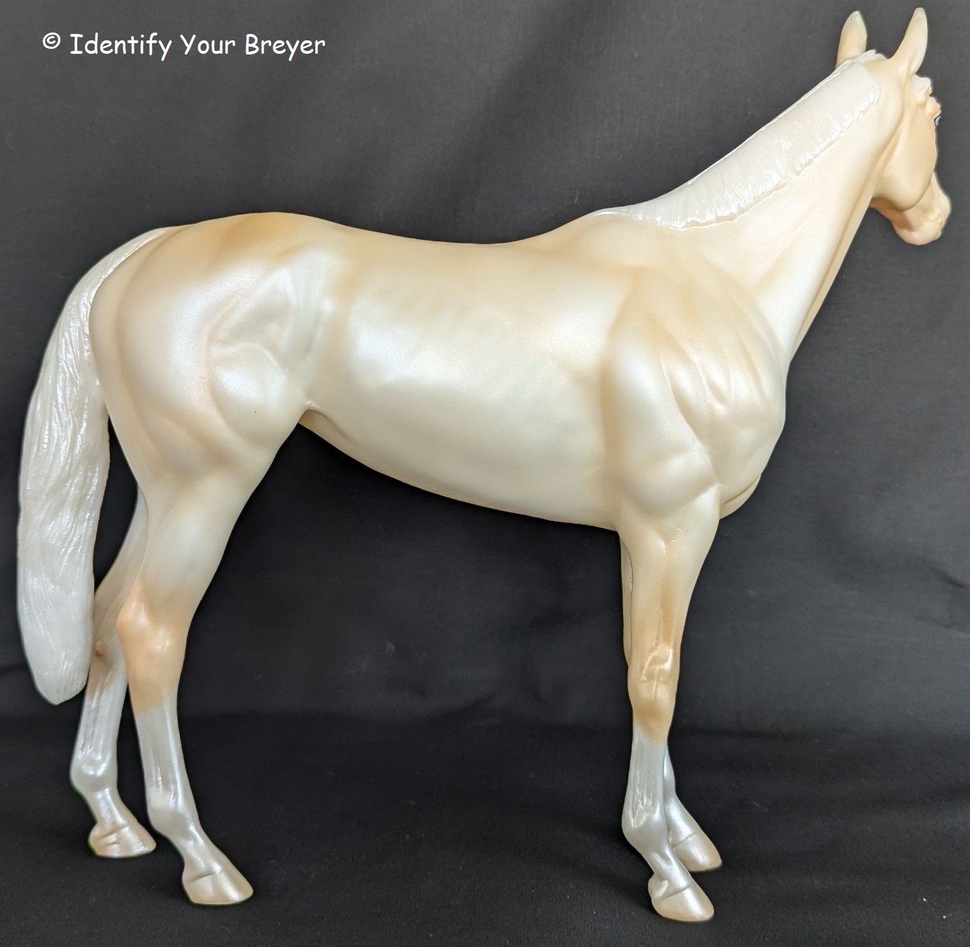 Identify Your Breyer - Standing Thoroughbred (Emerson)
