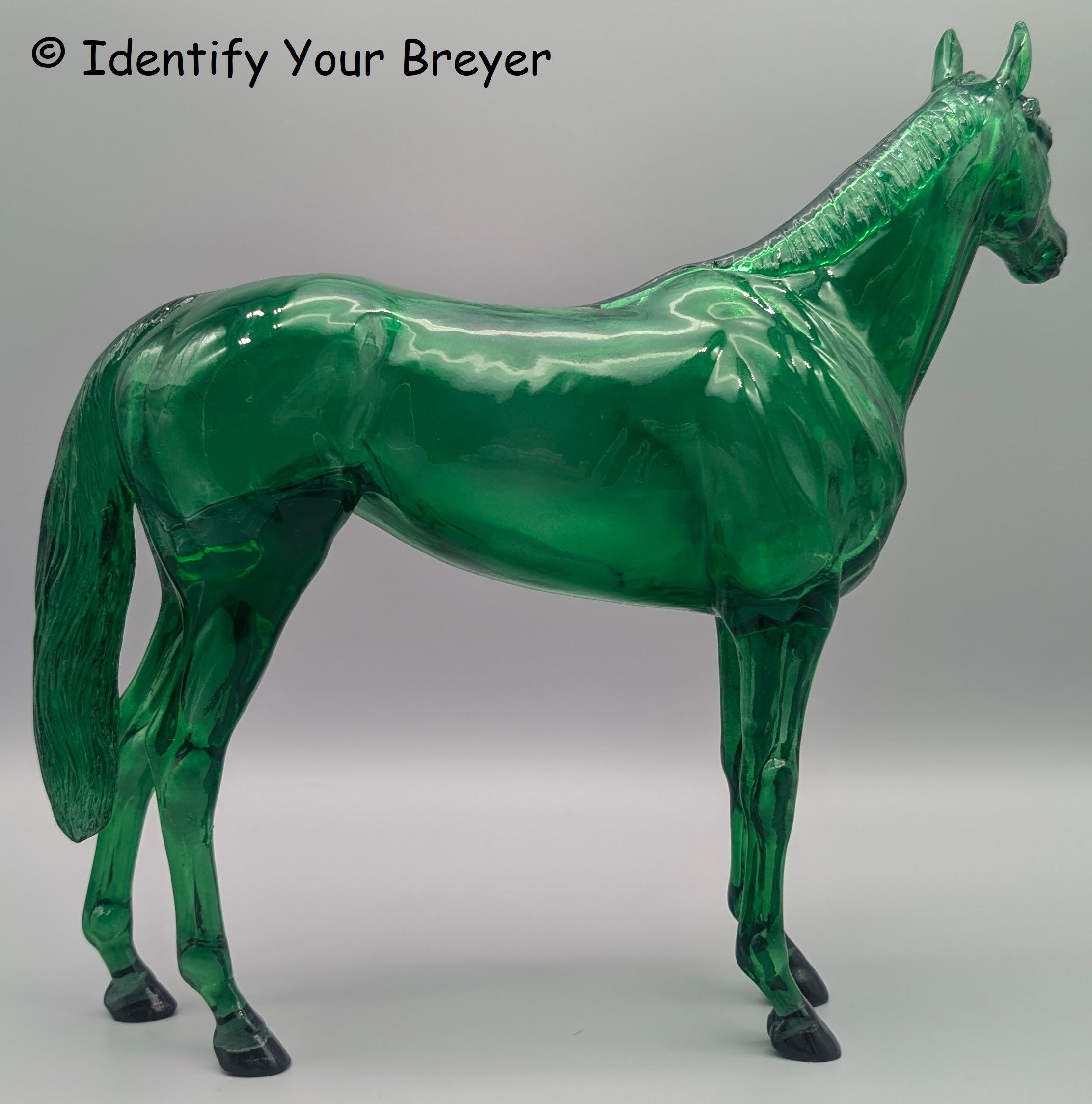 Identify Your Breyer - Standing Thoroughbred (Emerson)