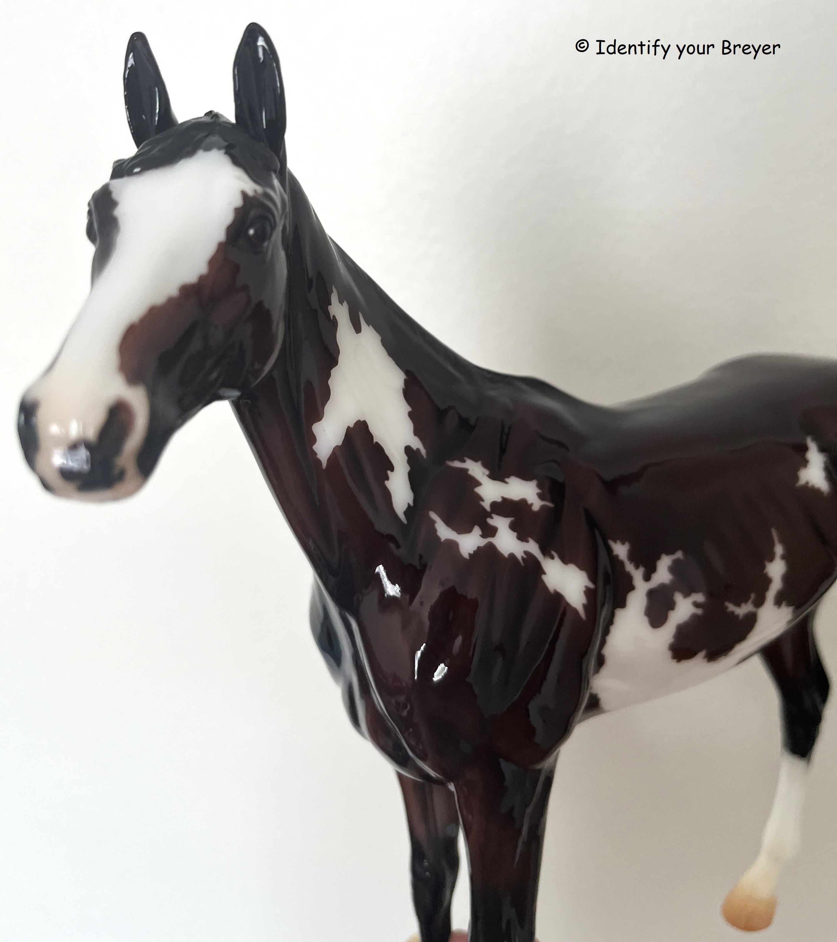 Identify Your Breyer - Standing Thoroughbred (Emerson)